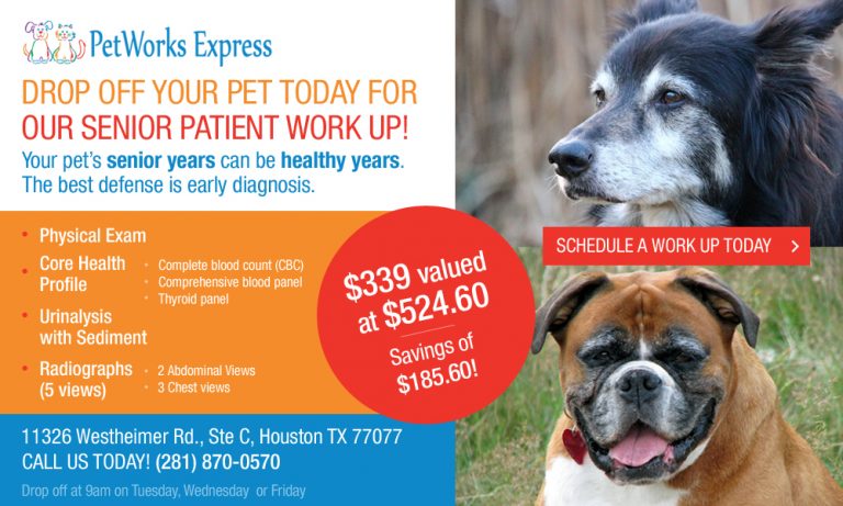 Veterinary Specials in Houston, TX | PetWorks Express